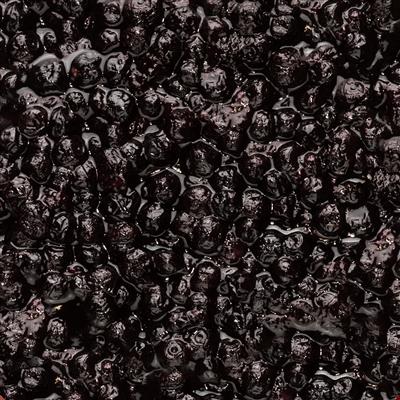 PreGel Blueberry – Pastry Filling